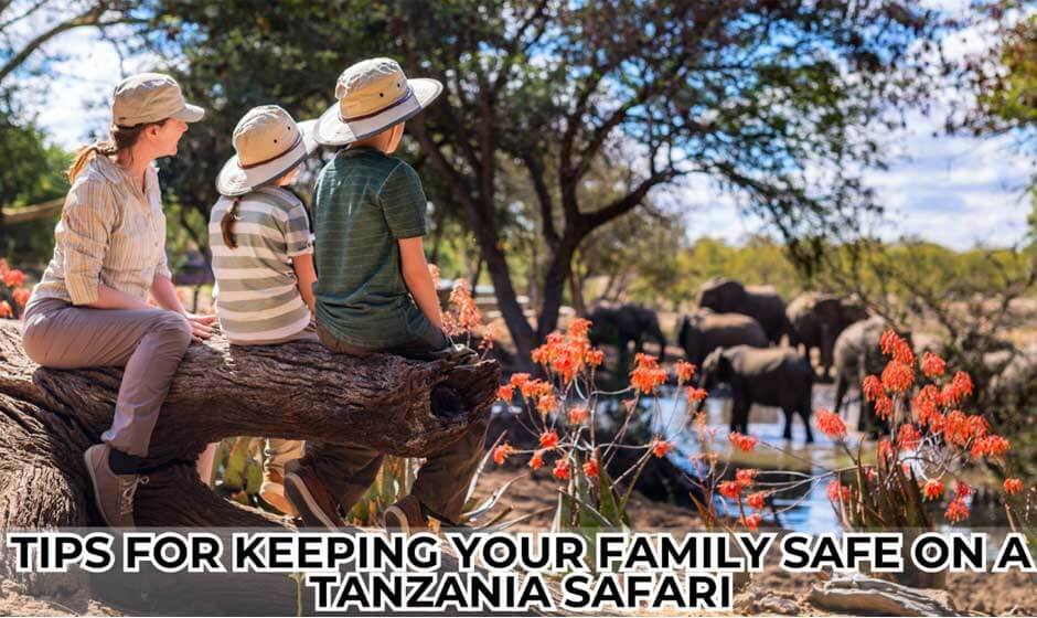Tips For Keeping Your Family Safe On A Tanzania Safari | 100% Norway